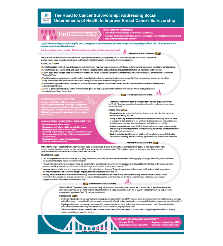 The Road to Cancer Survivorship: Addressing Social Determinants of ...
